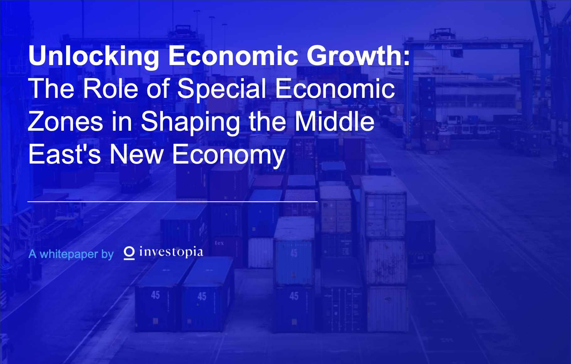 Unlocking Economic Growth: The Role of Special Economic Zones in Shaping the Middle East's New ...